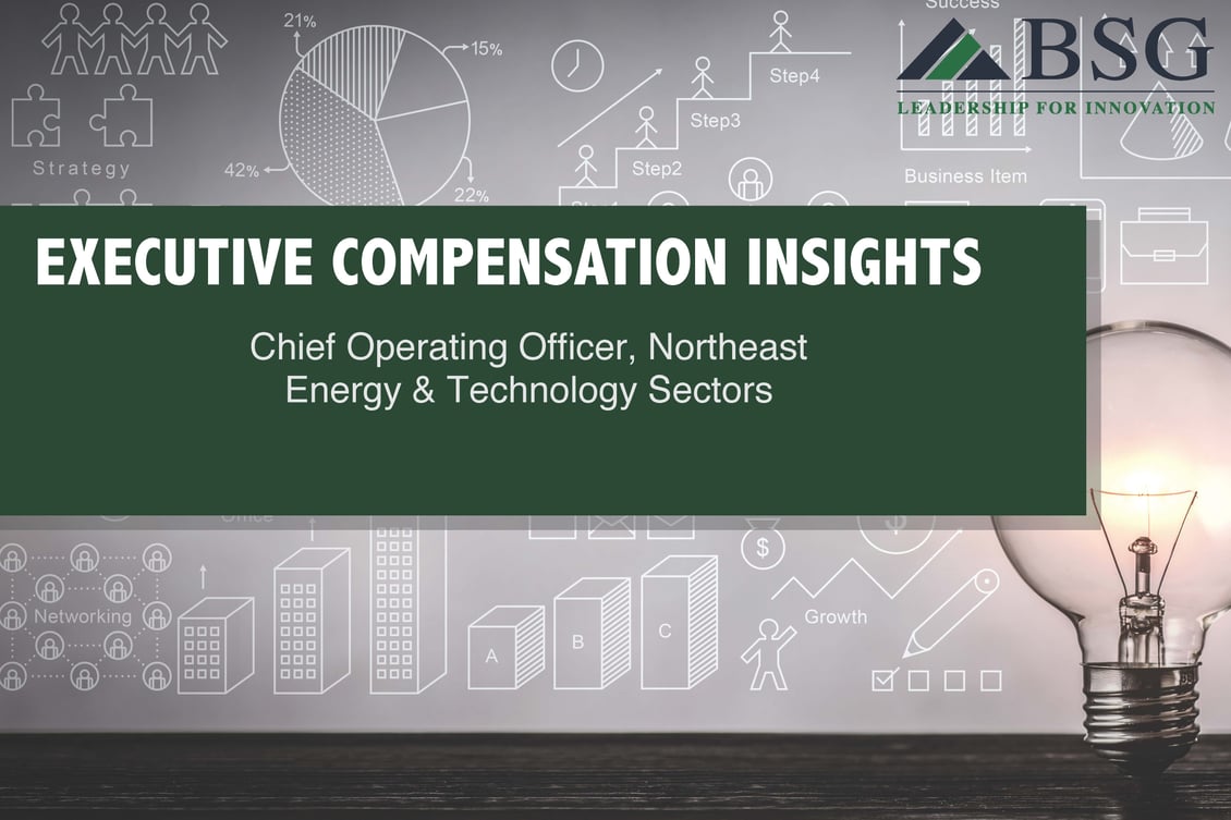 Executive Compensation Highlight: Chief Operating Officer (COO ...